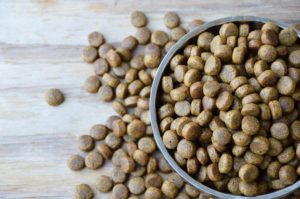 Dog Food Ingredients: The Most Common Ones You Need to Know