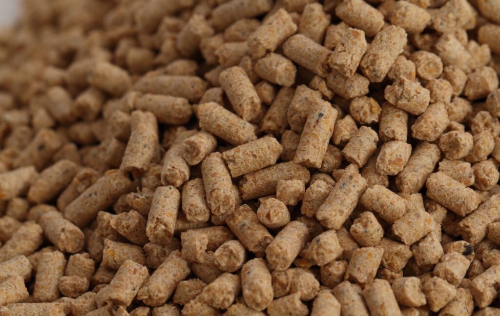 Good Physical Quality of pellet Feed- the important for commercial ...