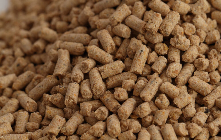 Good Physical Quality of pellet Feed- the important for commercial ...