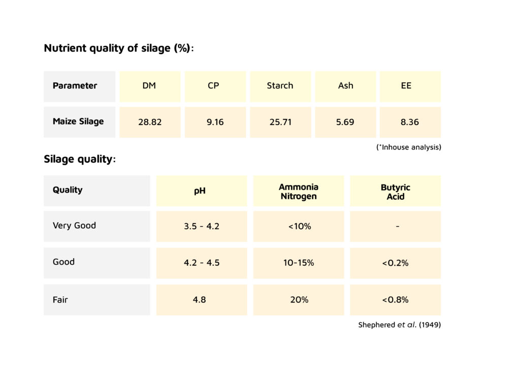 Silage - the best economical alternate while scarcity of green fodder ...